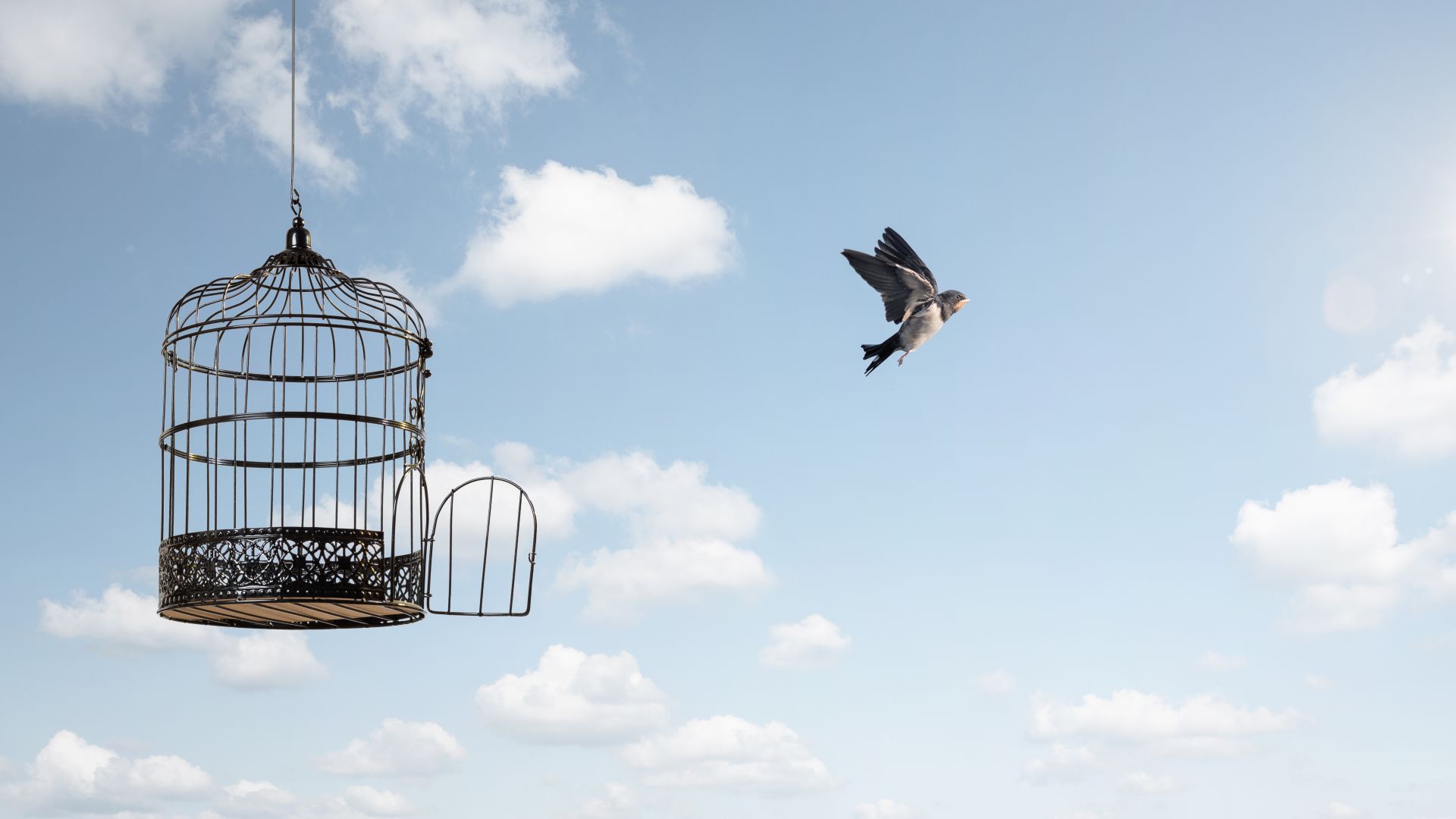 Smith Business Insight - Content - The Case for Free Markets