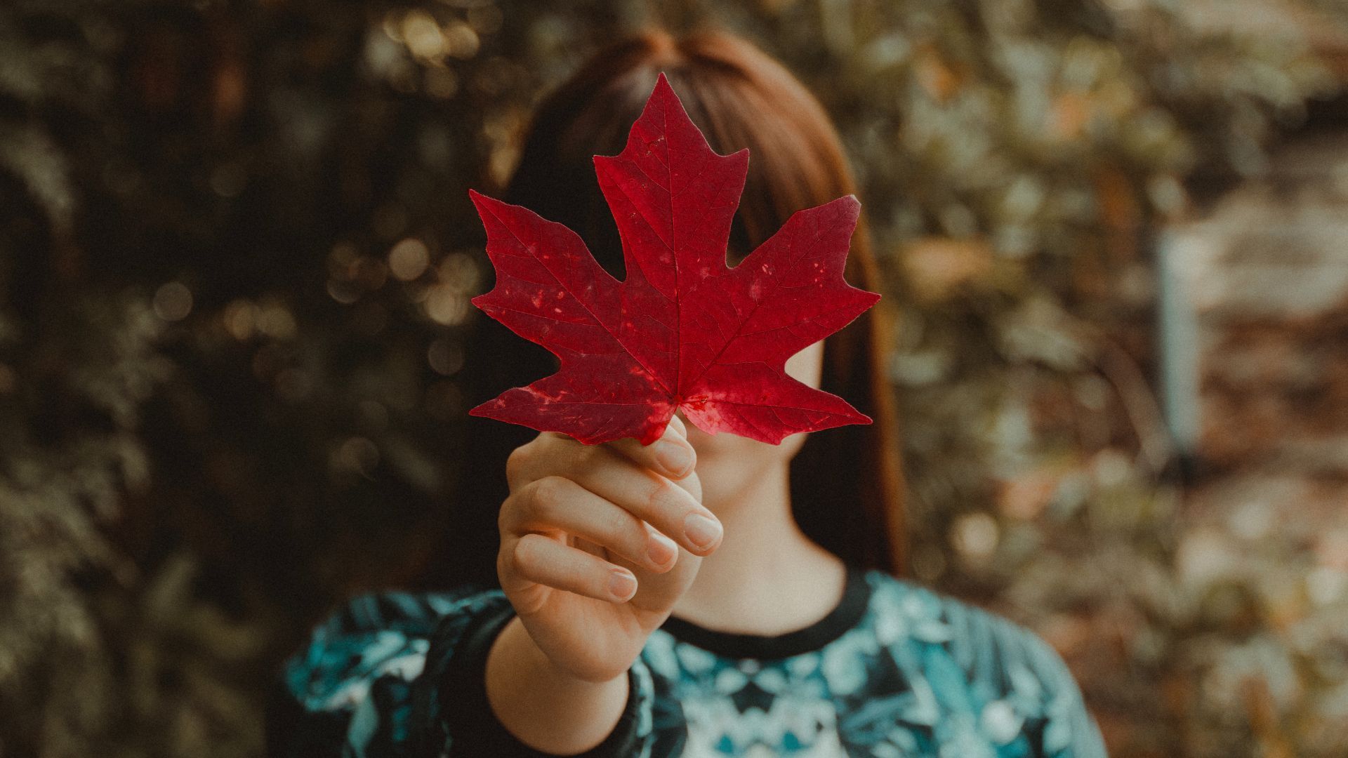 Smith Business Insight - Content - Where “Brand Canada” stands